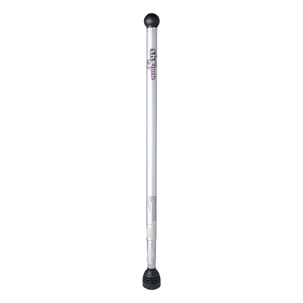 SK8Pole Aluminum Land Paddle - Silver – TGM Skateboards
